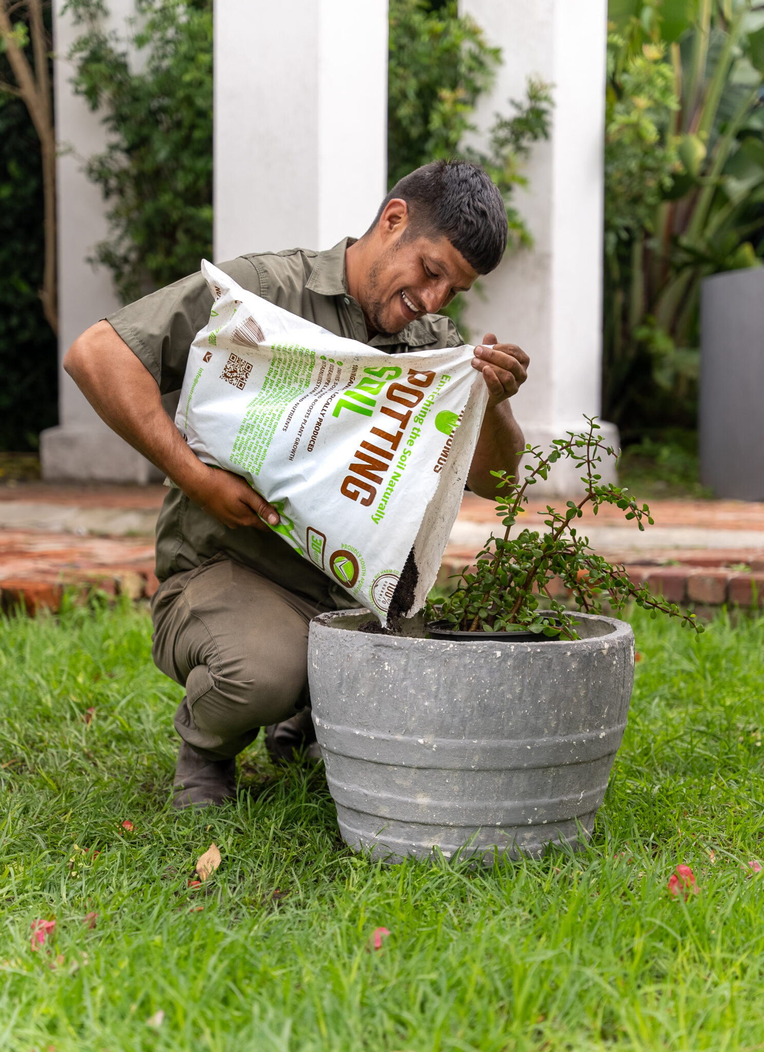 Potting Soil Cost, Potting Soil On Sale, Potting Soil Cape Town